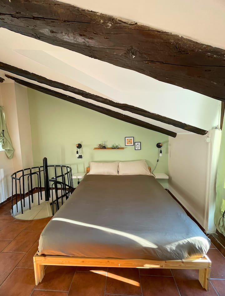 Garden House – Mansarde Lumineuse Centre - Turin