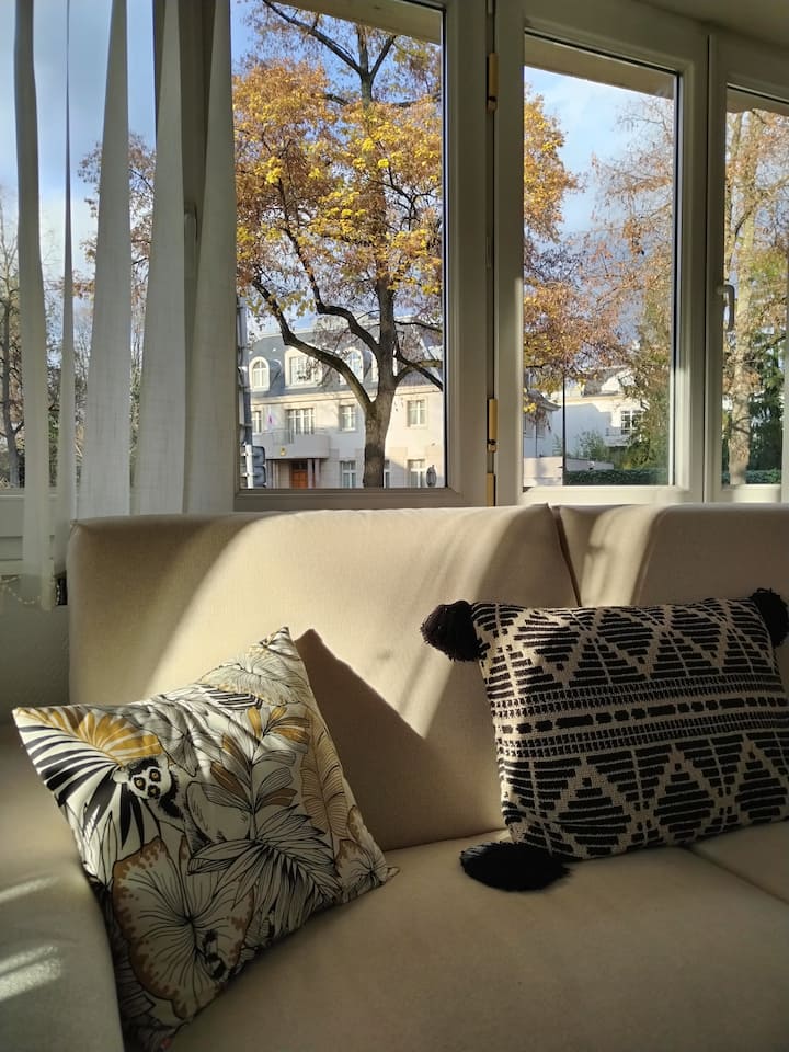 Magnifique Appartement Entier Calme Strasbourg - ストラスブール