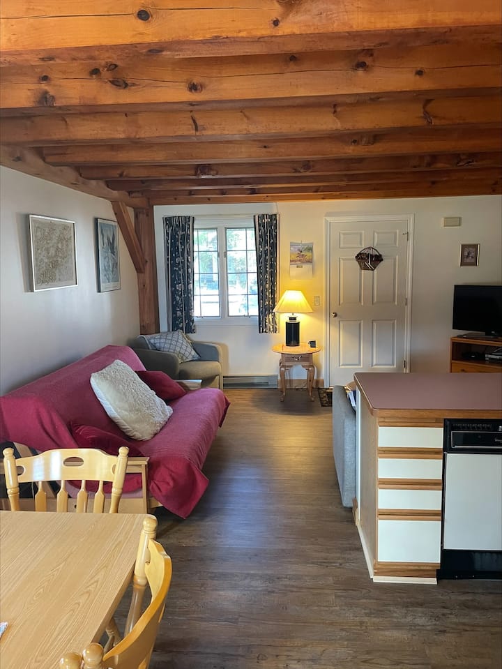 Cozy Condo Minutes To Sunday River - Bethel, ME