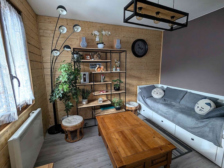 Grand Duplex 3 Chambres - Valberg