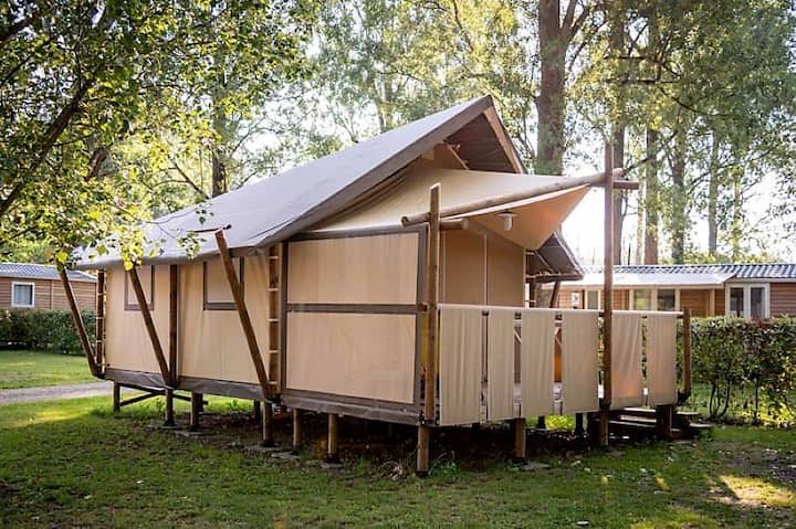 Jungle Lodge - Chanas