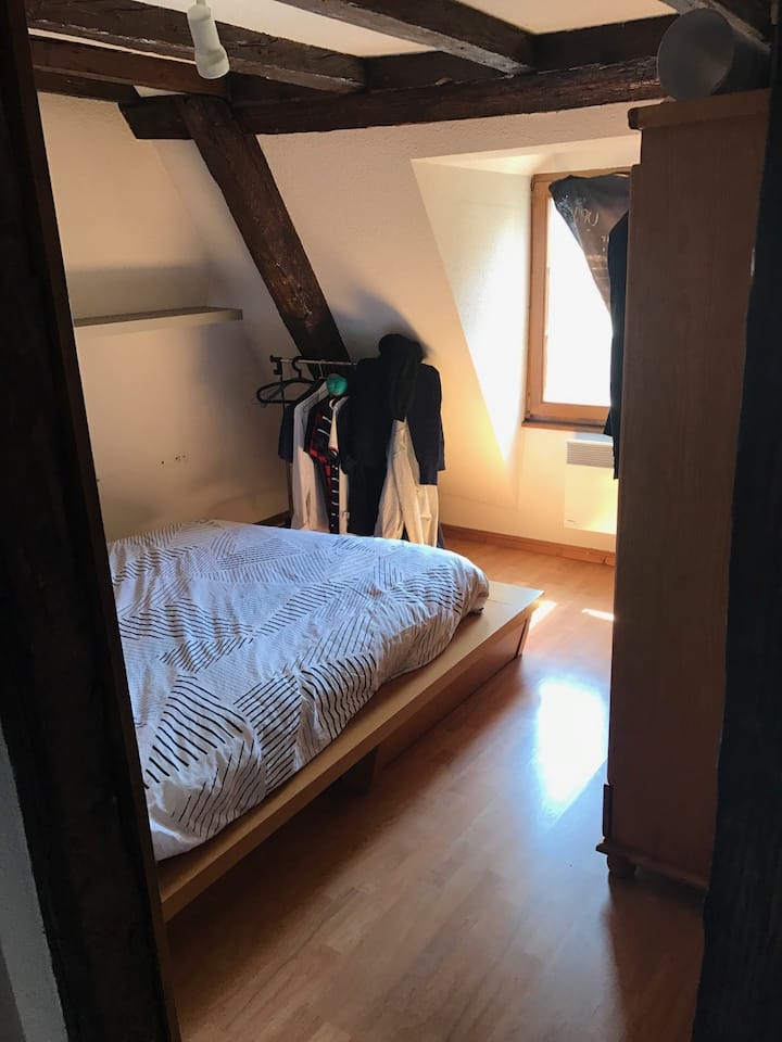 Vue Imprenable Place Saint Thomas - Robertsau