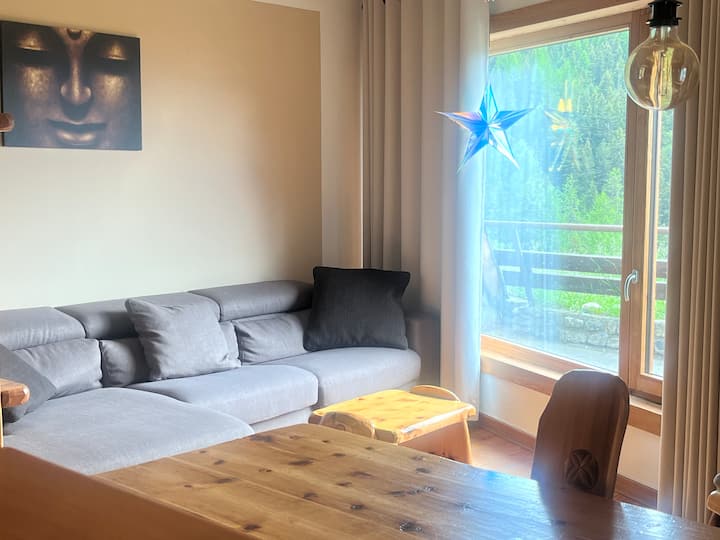 Apt Sur Les Pistes De Ski Vue De Mont Blanc - Cogne