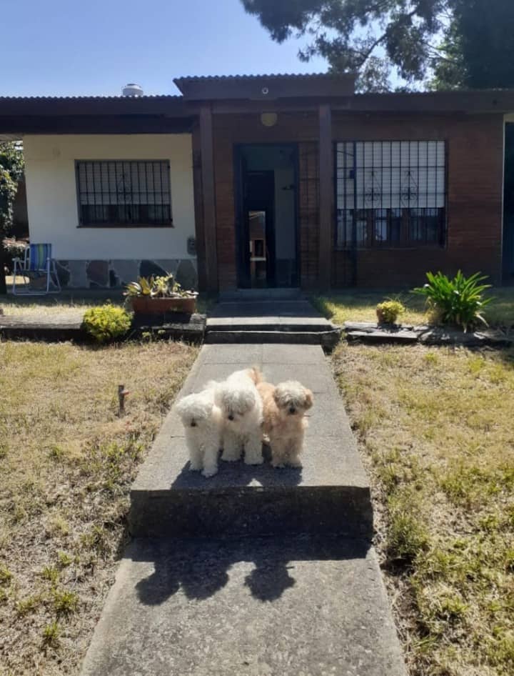 Chalet Grande - villa Gesell