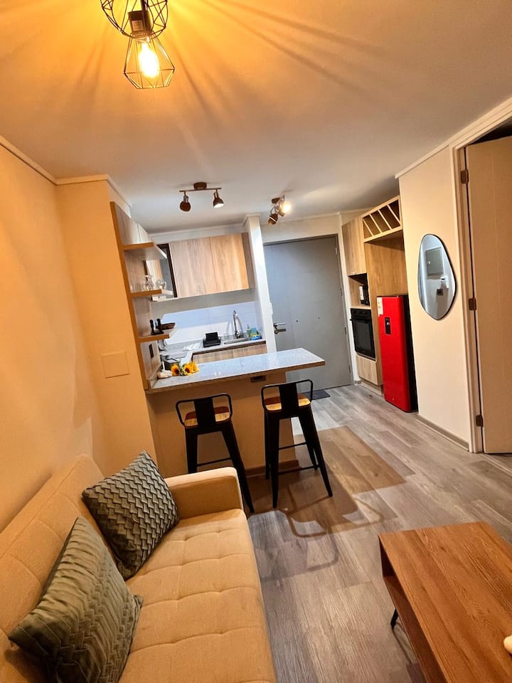 Moderno Y Bello Loft En Centro De Santiago - Santiago