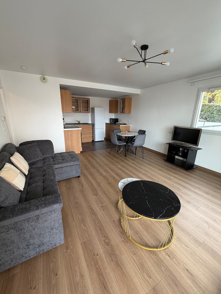 Très Beau T2 Meublé Terrasse Face Au Lac - Évian-les-Bains