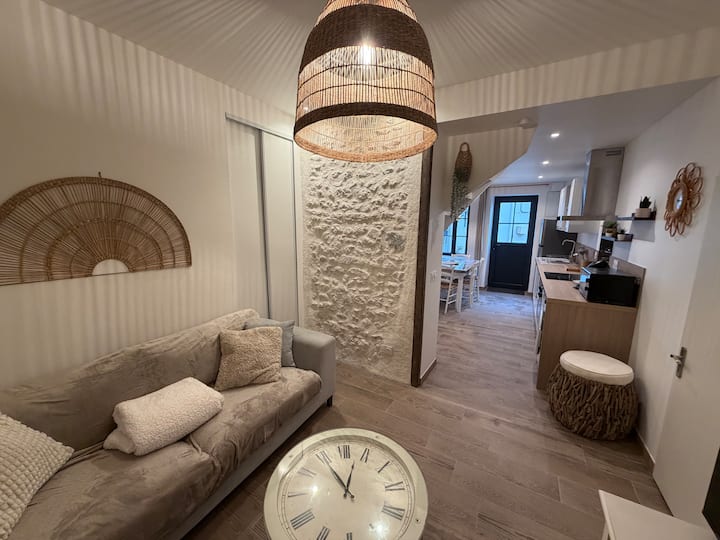 Lhuis Centre Village Petite Maison En Pierres 40m2 - Morestel