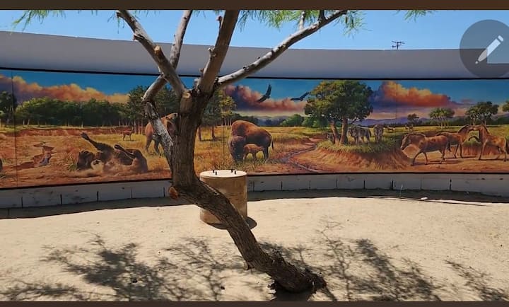 Sunset Views Desert Getaway Near Joshua Tree - Joshua Tree, CA