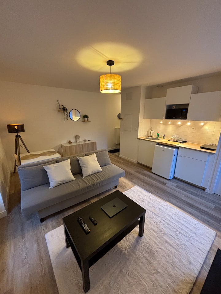 Cocon Cosy Au Cœur De Saint-brieuc - Saint-Brieuc