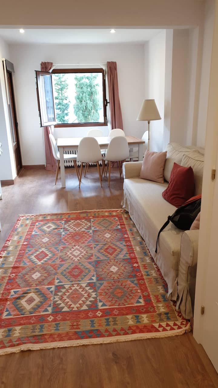 Apartamento Familiar En El Centro De Sallent. - Formigal
