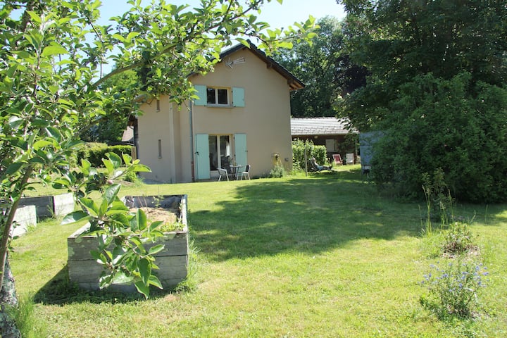 À L'ombre Des Arbres, Près Du Lac D'aiguebelette - Lac d'Aiguebelette
