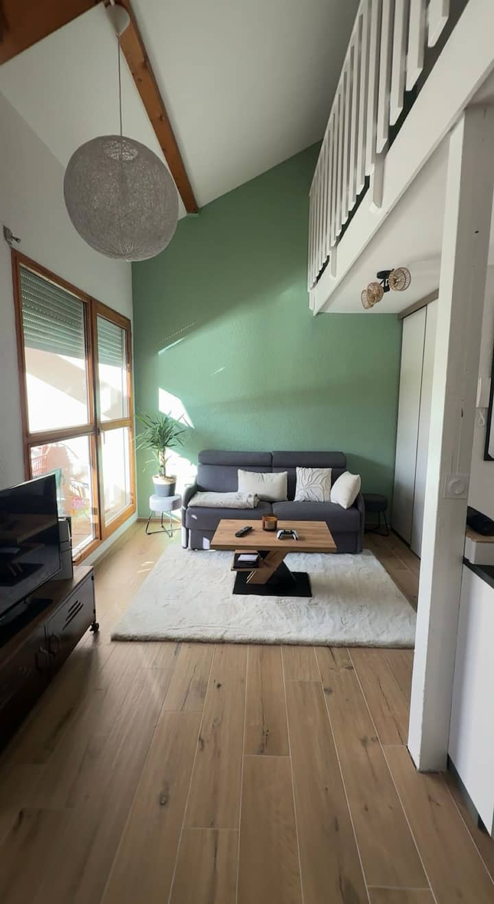 Appartement Chaleureux Proche Suisse. - Sciez