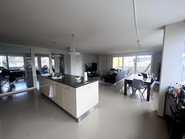 Light Flooded Family Apartment/zurich City Center - Zürich