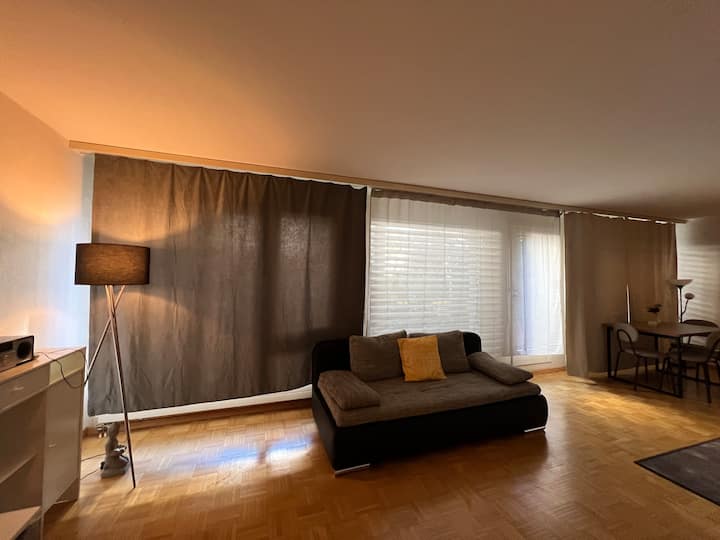 Warmherzige Wohnung Zentral Und Ruhig In Bern - Bern