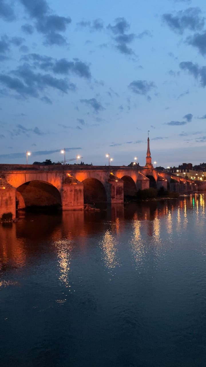 Appartement, Charmant En Centre-ville - Blois