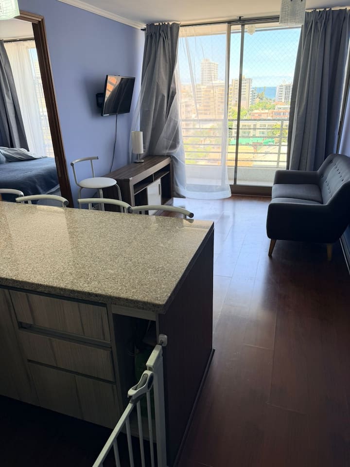 Acogedor Departamento Con Vista Al Mar Y Piscina - Viña del Mar