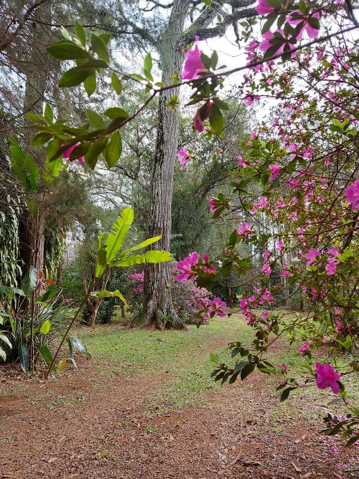 Un Oasis En Iguazú - Puerto Iguazú