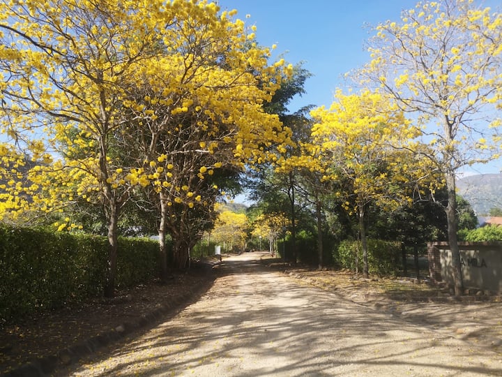 Hermosa Y Amplia Casa Para Disfrutar En Familia - Tocaima