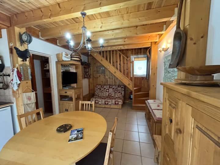 Chalet 6 Personnes Aux Pieds Des Pistes. - Ancelle