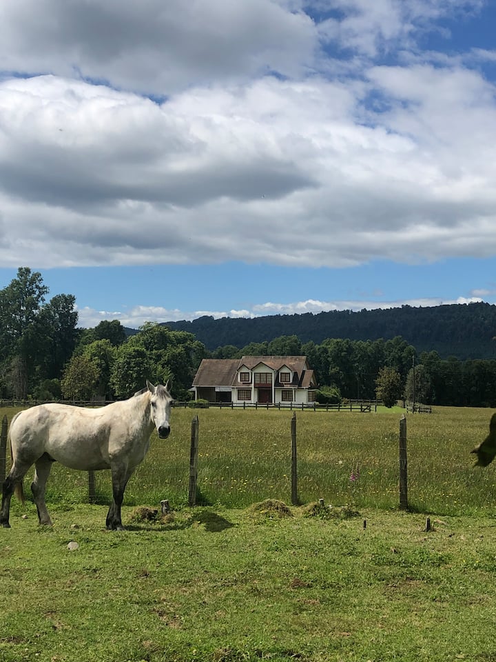 El Rincón Del Campo - Panguipulli