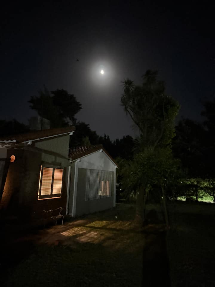 Casa En Miramar Rodeada De áRboles. - Miramar