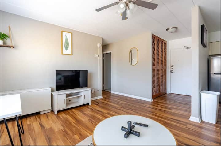 Stunning Unit In Minneapolis/ Rental Car Available - Minneapolis, MN