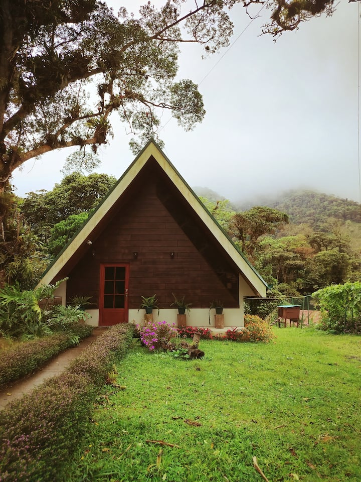 Cabaña Oropendola - Bajos del Toro