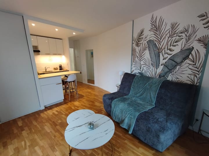 Studio Refait à Neuf "Croco Dort" - Bois-d'Arcy