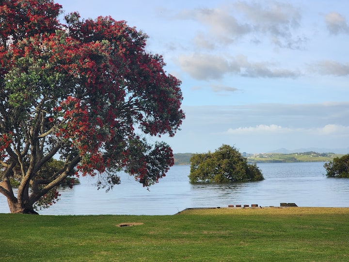 Idlea Wyle - One Tree Point