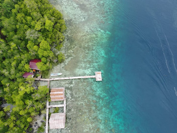 Peginapa Denga Harga Terjangkau. - West Papua