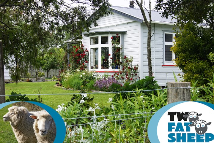 Two Fat Sheep - Greytown