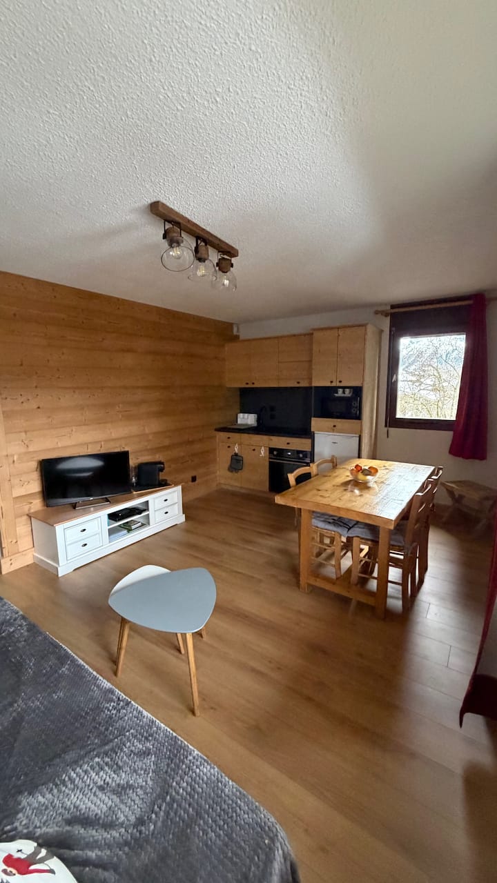 Studio Plein Centre - Les Carroz - 4 Personnes - Les Carroz d'Arâches