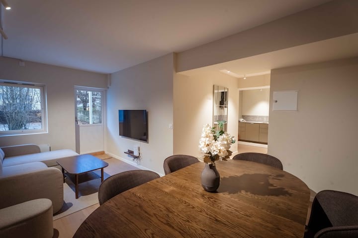 Nyoppusset Leilighet Med Høy Standard - Oslo