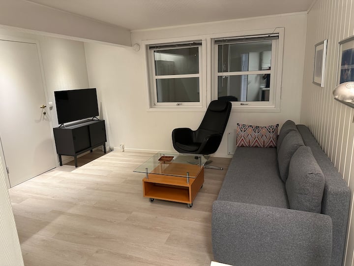 Studioleilighet Med Sovesofa - Tromsø
