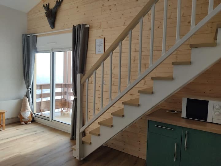 Duplex Au Pied Des Pistes Secteur Pla D Adet - Saint-Lary-Soulan