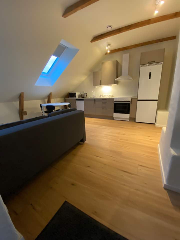 Nybyggdvindslägenhet I Central Uppsala (1401c) - Uppsala