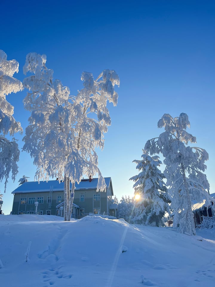 Kappalainen, Siisti Huoneisto Oma Keittiö/kph,2hlö - Pudasjärvi
