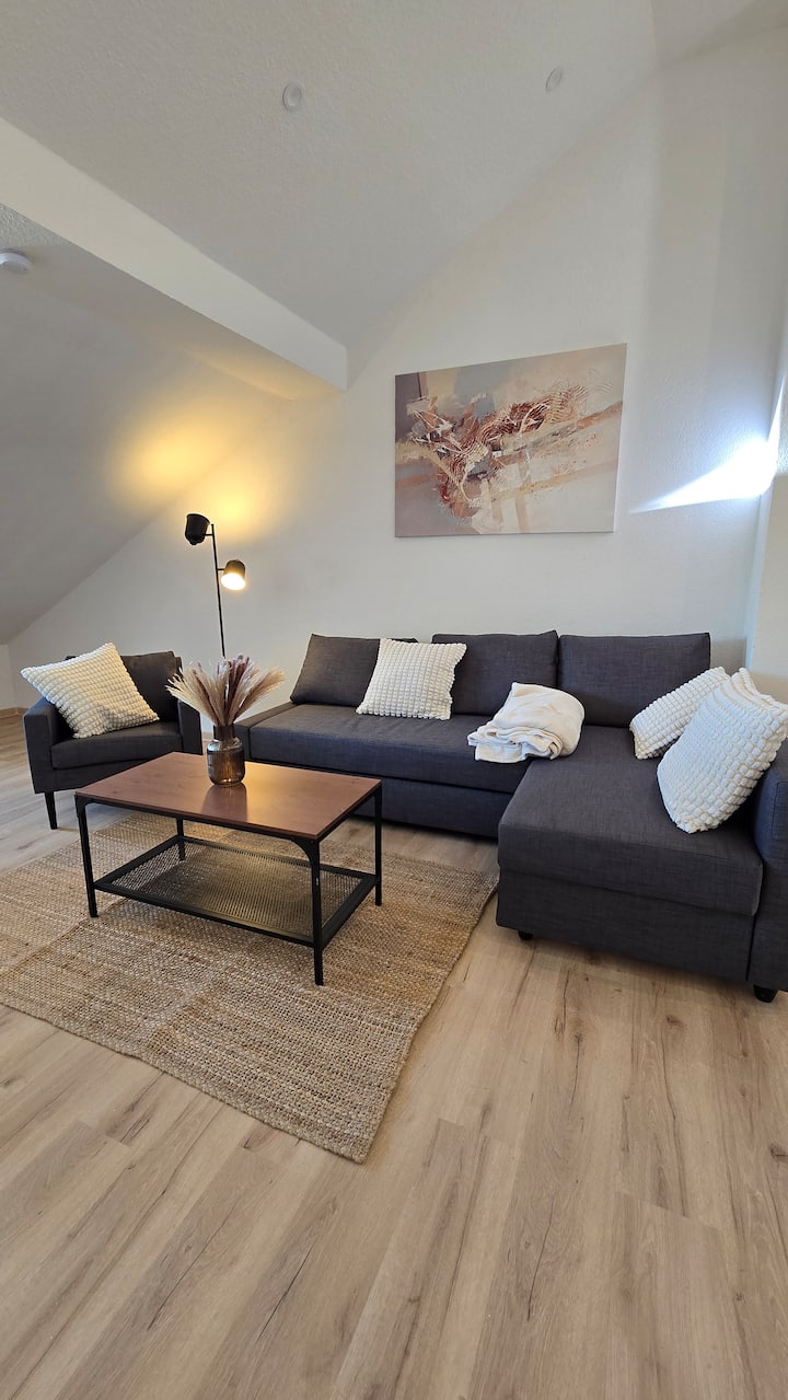 3xapp.+max.18p+stadtblick+sauna-infrarot+saniert - ドイツ