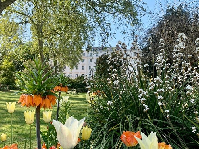 Beautiful Victoria Townhouse Apartment - Flats for Rent in Greater ...