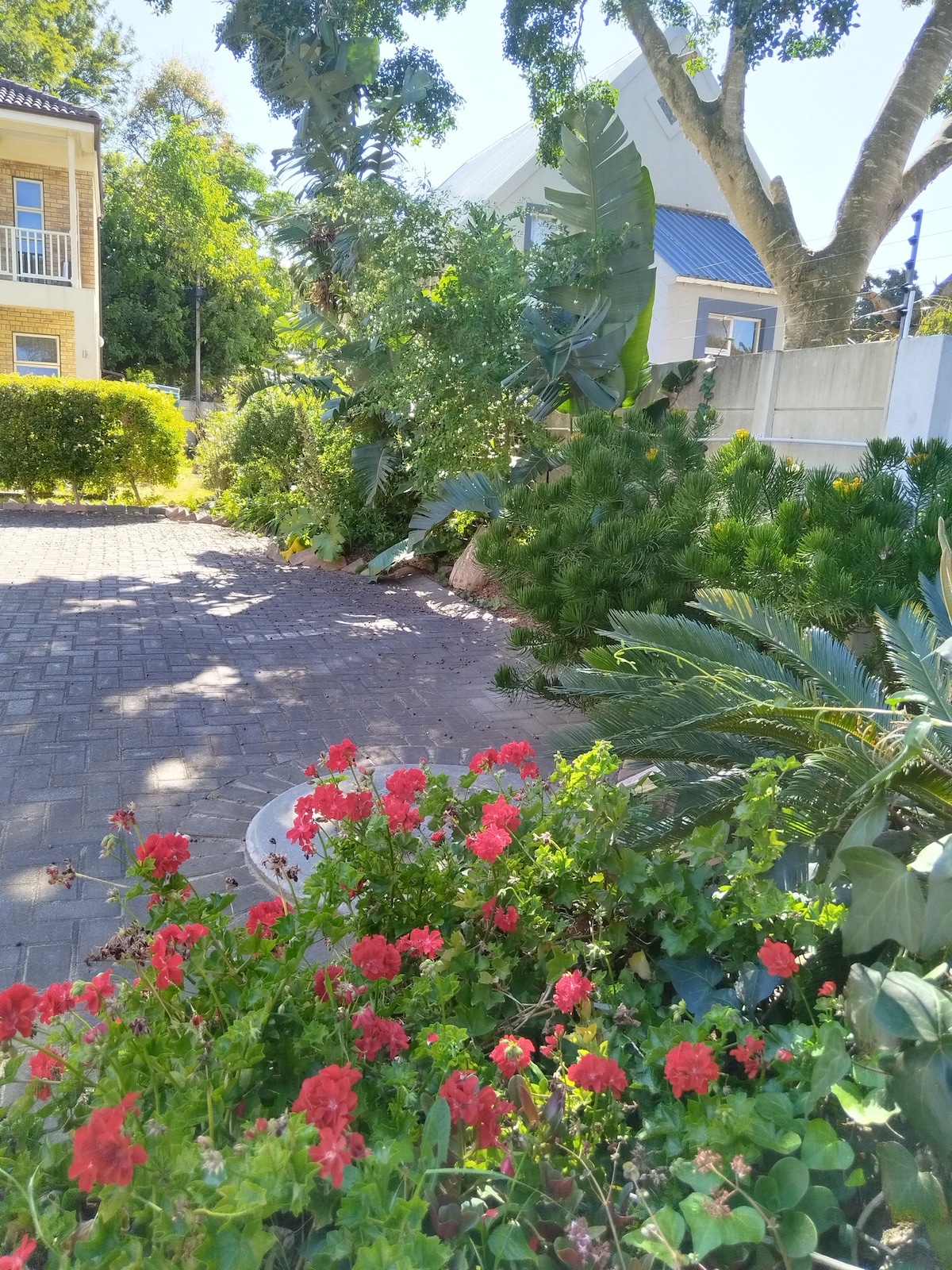 The Heart of Walmer GQ - Guest houses for Rent in Gqeberha, Eastern ...