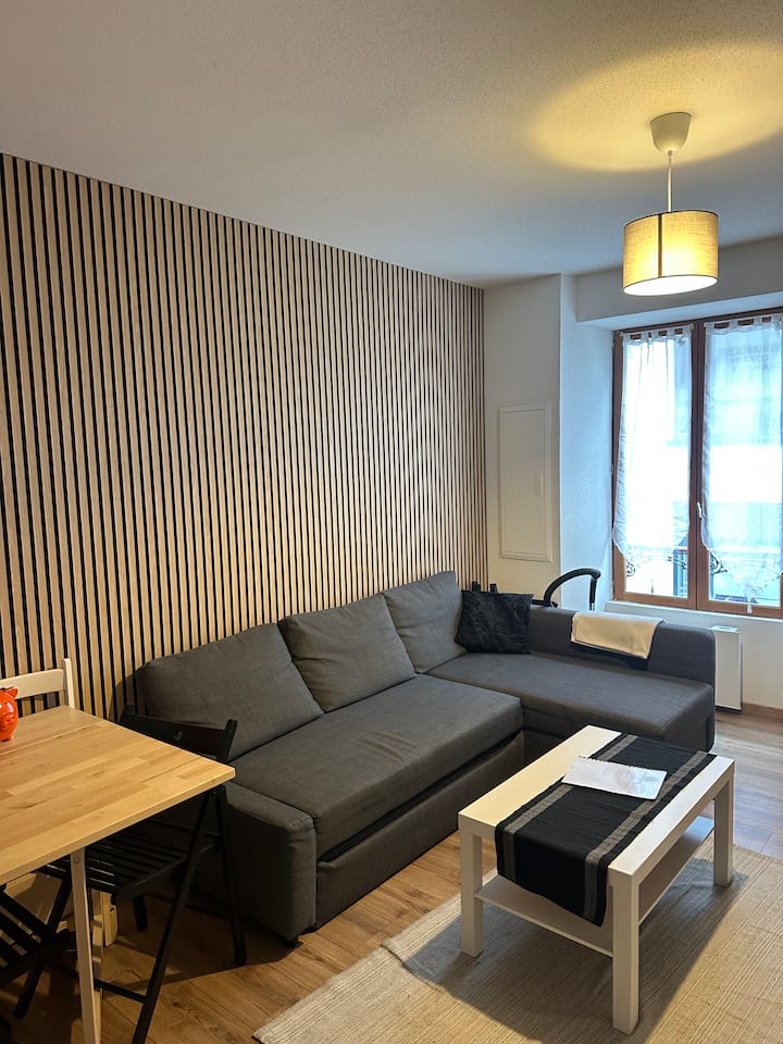 Marché De Noël • Cosy 1 Chambre + Convertible - Strasbourg