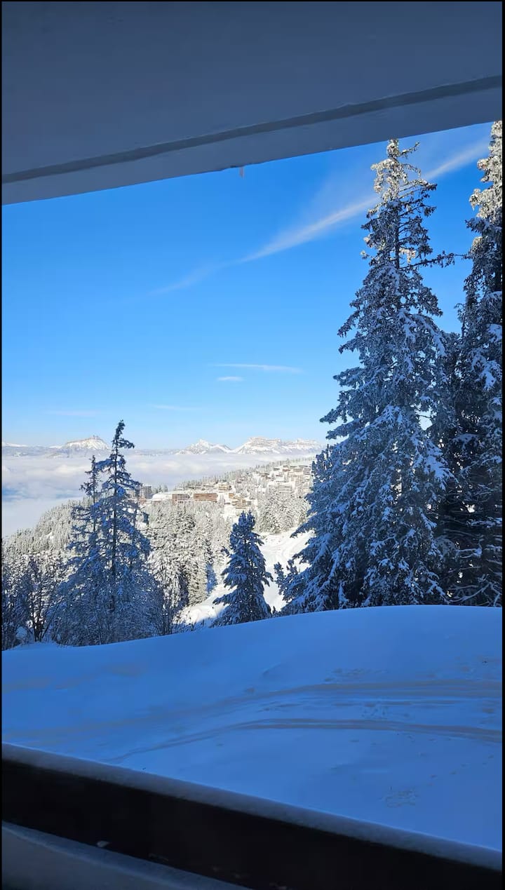 Skis Aux Pieds • Rénové • Parking Privé • 4 Pers - Chamrousse