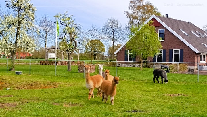 Alpaca Ranch D'n Achterhoek, Een Stijlvolle B&b. - Bocholt