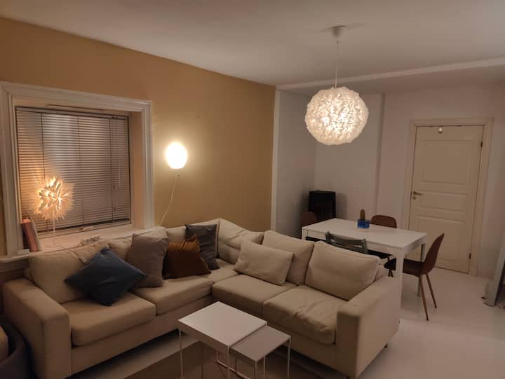 Lys Og Fin Sentrumsnær Leilighet Med Flott Utsikt - Oslo