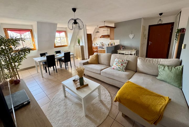 Spacieux Appartement Calme Et Tout éQuipé - Rouffach