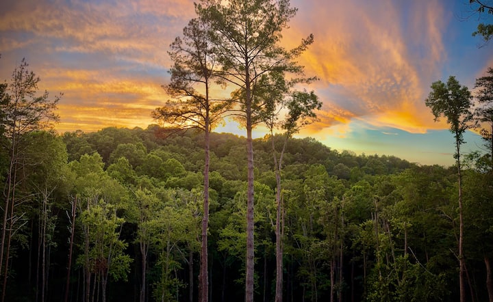 Hillside Hideaway - Ellijay