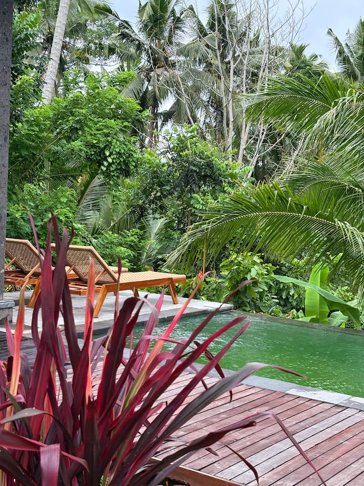 Ubud Jungle Villa Retreat - Australie