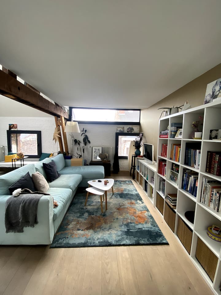 Brussels Center Penthouse - Regione Bruxelles, Belgio