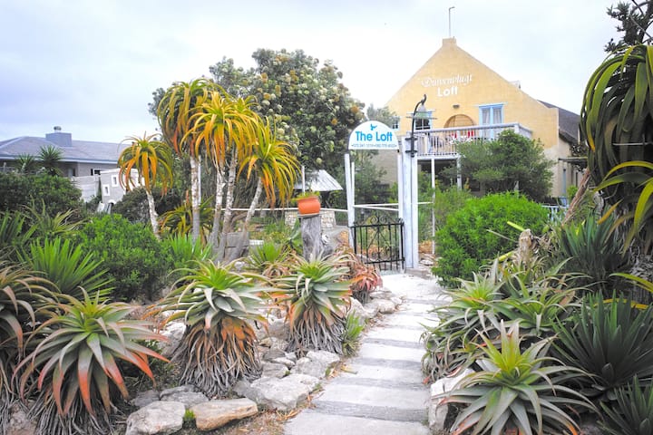 Duivenvlugt Loft - Still Bay