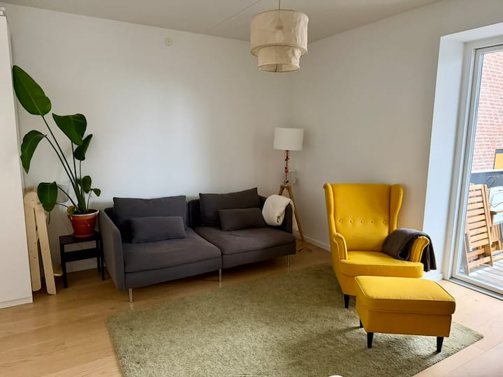 Spacious Apartment Close To Downtown And Airport - Copenhague